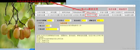 展厅中控视频播放器，支持网络、串口、语音、web、键盘控制网络串口控制播放器软件 Csdn博客