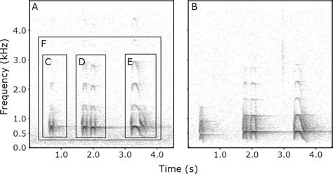 Spectrogram Representing Components Of The Four Note Location Call For