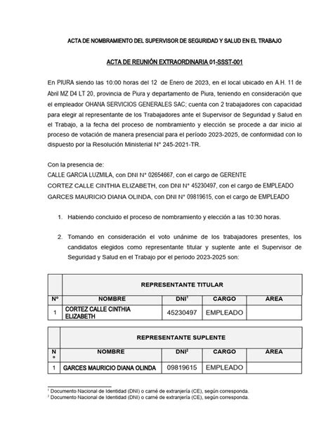 Ssst 1acta De Nombramiento Doña Pdf Gobierno Responsabilidad