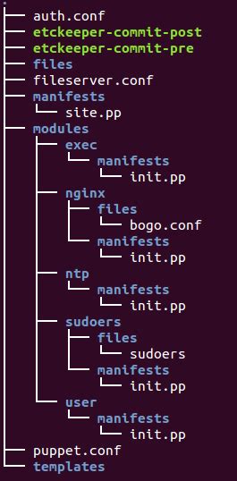 Puppet Packages Files And Services II Nginx 2020