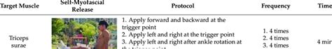Self Myofascial Release Programsint J Environ Res Public Health Download Scientific