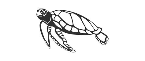 Large Sea Turtle Dxf And Svg File Sea Turtle Art Wall Etsy