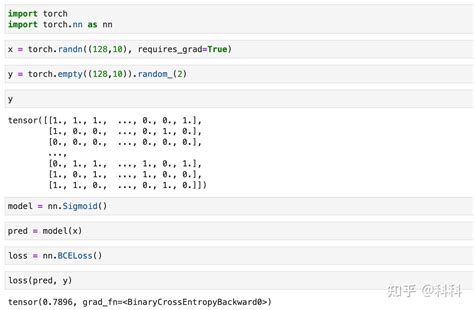 Pytorch Loss Functioin