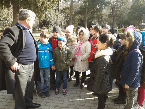 მინდვრის ყვავილები ფოტო გალერეა ალბომები