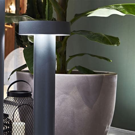 Faro Gala Black Delight