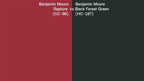 Benjamin Moore Rapture Vs Black Forest Green Side By Side Comparison