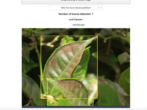 Tea Leaf Disease Prediction System Pyresearch