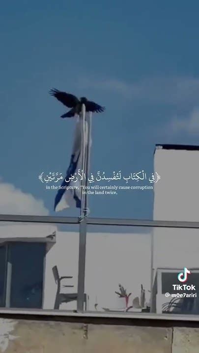 اللهم سلط عليهم دواب الأرض يا الله 🇵🇸 Youtube