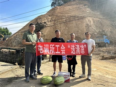 所开展“工会送清凉、防暑保安康” 慰问活动 单位新闻 华东冶金地质勘查局屯溪地质调查所 官网