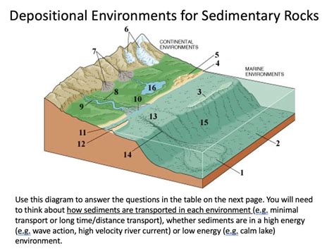 Solved For Sample S Identified As Limestone S Explain Why Chegg Com