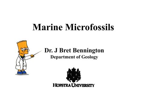 Ppt Marine Microfossils Powerpoint Presentation Free Download Id
