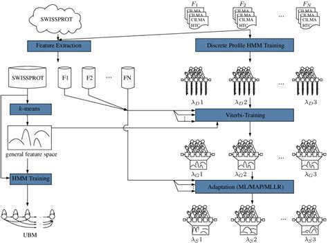 11 Overview Of The Complete Model Estimation Process For Obtaining