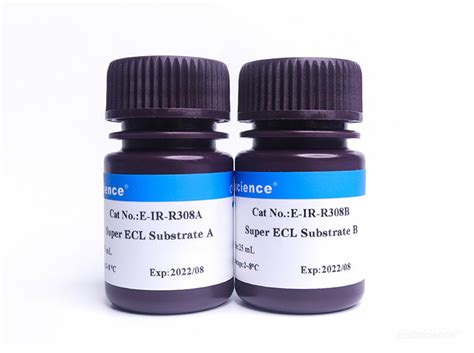 Super Excellent Chemiluminescent Substrate Ecldetection Kit Elabscience
