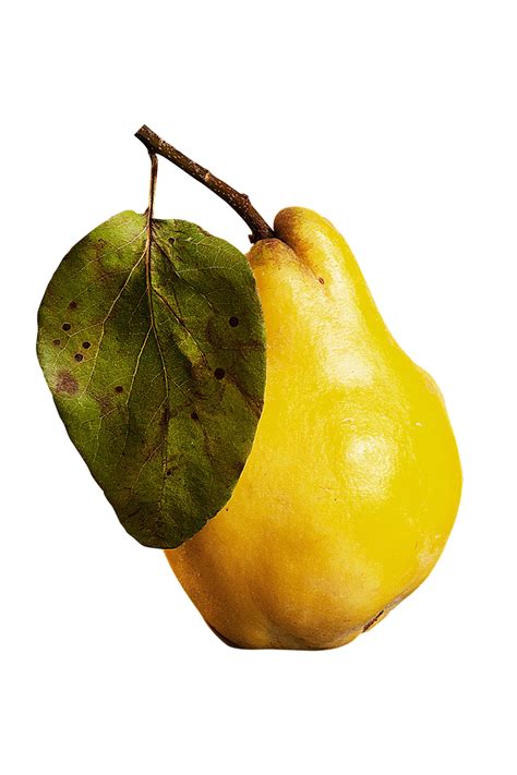Isolated Fruit · Free Image On Pixabay