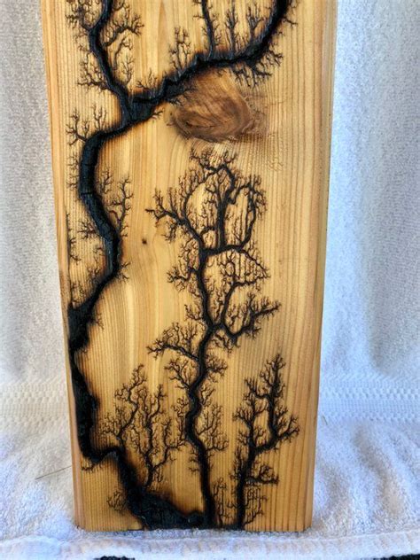 Nougat Fractal Burn Fractal Art High Voltage Wood Burn Wall Art