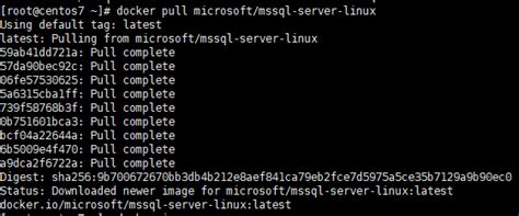 Docker学习笔记之 安装mssql Sql Server 并使用Navicat连接测试 环境centos 找 net工作 北京 博客园