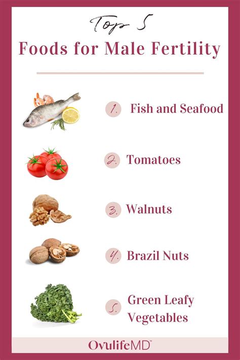Top 5 Foods To Increase Male Fertility Male Fertility Foods
