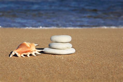 Free Images Beach Sea Water Sand Rock Ocean Wood Wave Stone