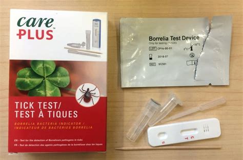Test For Ticks Lyme Disease Bacteria Now Available In Canada Cbc News