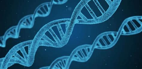 Another Neurodevelopmental Disorder Is Discovered Genetics And Genomics