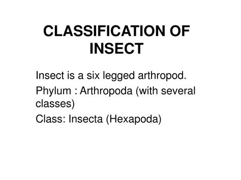 Ppt Classification Of Insect Powerpoint Presentation Free Download Id 9180066