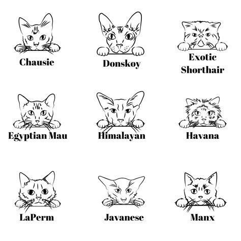 Custom Personalized Cat Breed Name Sweatshirt Crewneck Pet Memorial