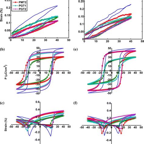 Comparison Of Unipolar Strain Bipolar Polarization And Bipolar Strain