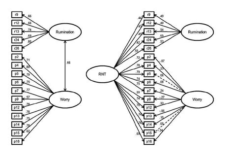 Standardized Regression Weights And Correlation Coefficient For The Download Scientific Diagram