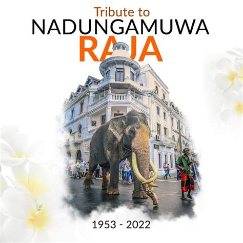 ලැවරියා Lewariya