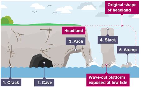 Coastal Landforms Flashcards Quizlet