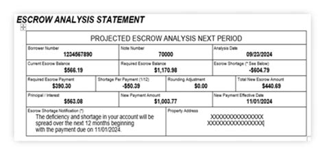 Borrowing Basics Understanding Annual Escrow Analysis Statement Home