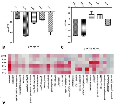 Ex Vivo Drug Sensitivity Testing A The Heatmap Of Modified