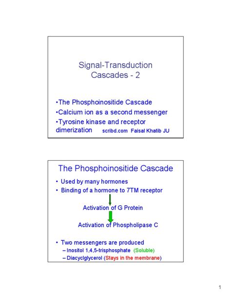PDF Hormones Lecture Handout DOKUMEN TIPS