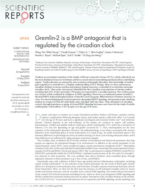 Pdf Gremlin 2 Is A Bmp Antagonist That Is Regulated By The Circadian