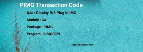 PIMG SAP Tcode For Display R Plug In IMG