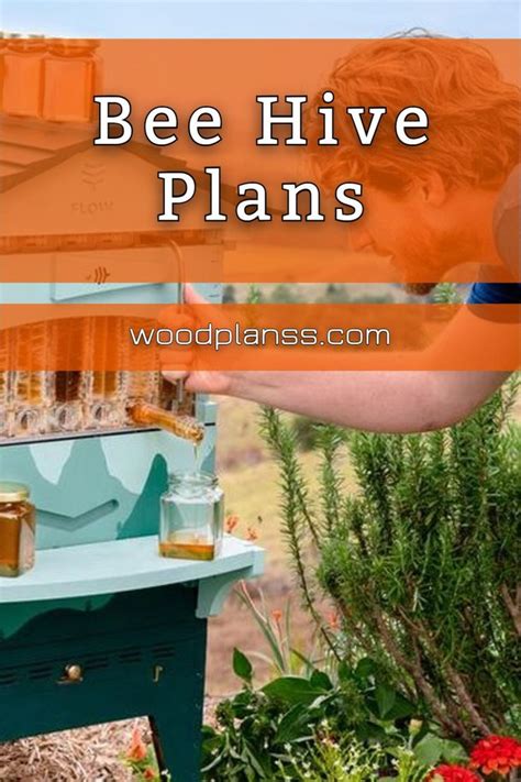 Diy Bee Hive Plans How To Plan Bee Hive Plans Advanced Woodworking
