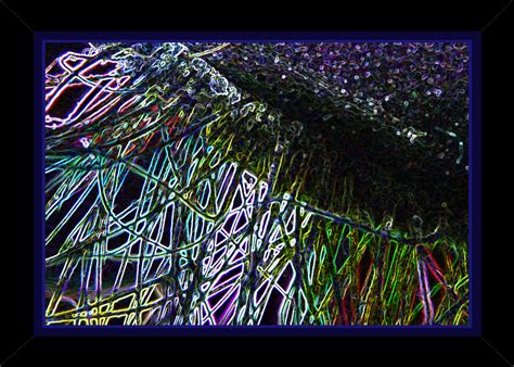 Glow Edge Gallery DBEEL PHOTO GALLERY