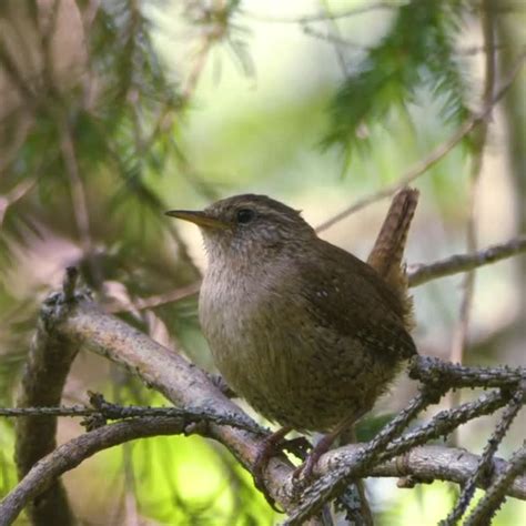 [video] Anagh Pal On Linkedin ️