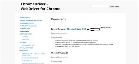 Introduction To Chromedriver For Selenium With Example Webner Blogs