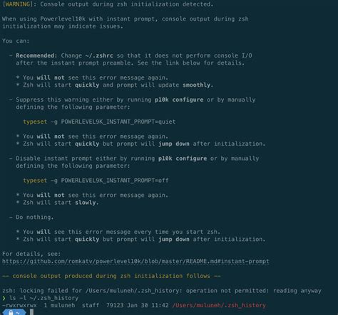 Zsh Locking Failed For User Zsh History Permission Denied Reading Anyway Issue