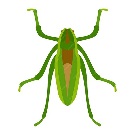 Premium Vector Green Grasshopper Insect Flat Style Vector Illustration