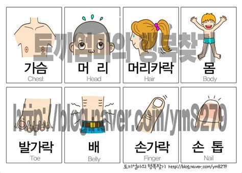 엄마표 자석교구 낱말카드 교구 만들기 5 신체 20140211 신체자료 추가했어요 네이버 블로그