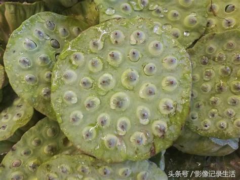73歲農村大娘在城市地鐵口賣「盛夏的稀罕物」，賣不出去讓人心酸 每日頭條