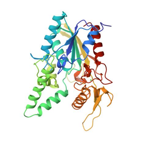 Lipase Enzyme Structure
