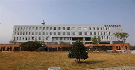 실뱀장어 불법조업 특별단속 실시 위키트리