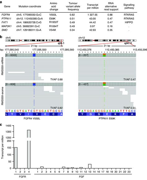 Genomic characterisation of RMS559 cells. a An overview of mutations ...