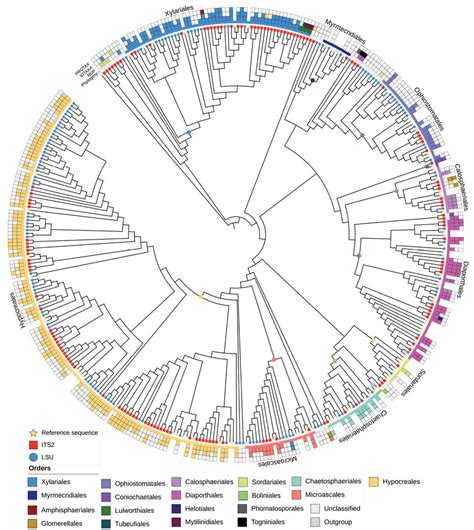 Closed Reference Clustering Of Otus And Phylogenetic Trees At Different Download Scientific