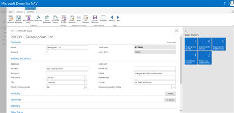 Understanding Microsoft Dynamics Navision A Beginners Guide