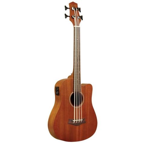 Acoustic Bass
