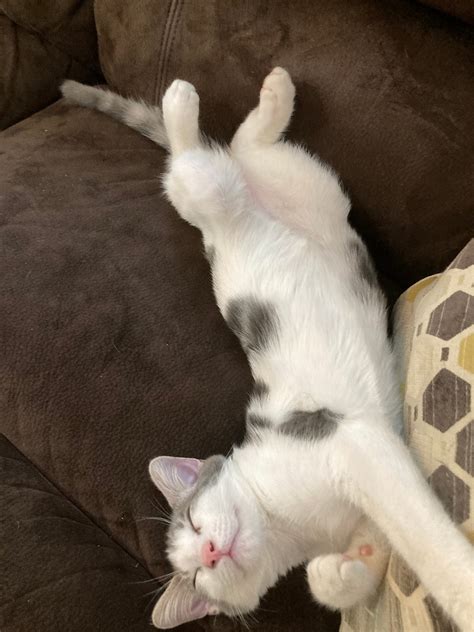 Notes From Discussion With Streaming Expert John Kuchmek By Tim Spann Medium